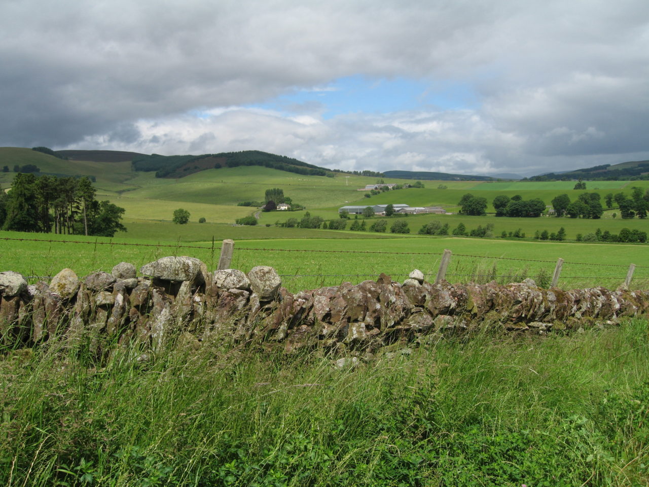Future Farm Resilience Fund (FFRF) - British Grassland Society Future Farm Resilience Fund (FFRF) - British Grassland Society